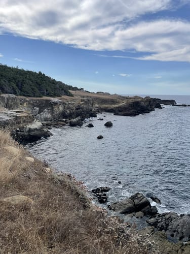 Best 10 Hikes and Trails in Salt Point State Park | AllTrails