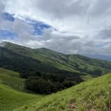 Netravati Peak Trek, Karnataka, India - 7 Reviews, Map | AllTrails