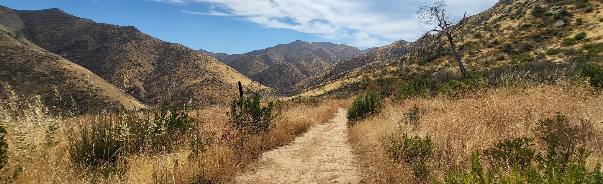 Homestead to Blue Ridge Loop, California - 2,755 Reviews, Map | AllTrails