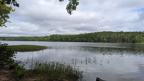 Best 10 Hikes and Trails in Latta Nature Preserve | AllTrails