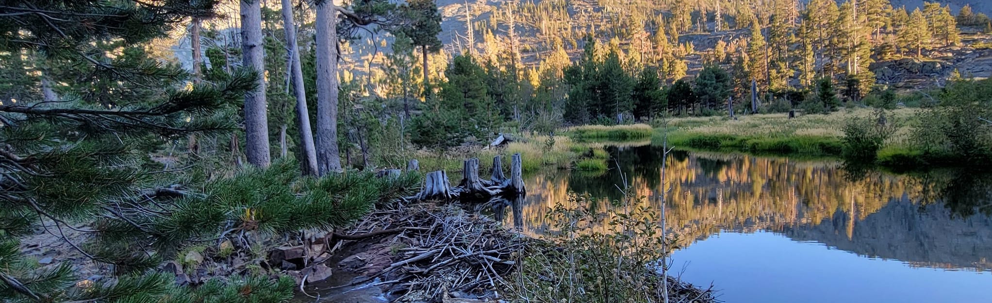 Triangle, Lost and Lucille Lakes Loop: 15 Reviews, Map - California ...