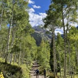 Schofield Pass Road, Colorado - 168 Reviews, Map | AllTrails