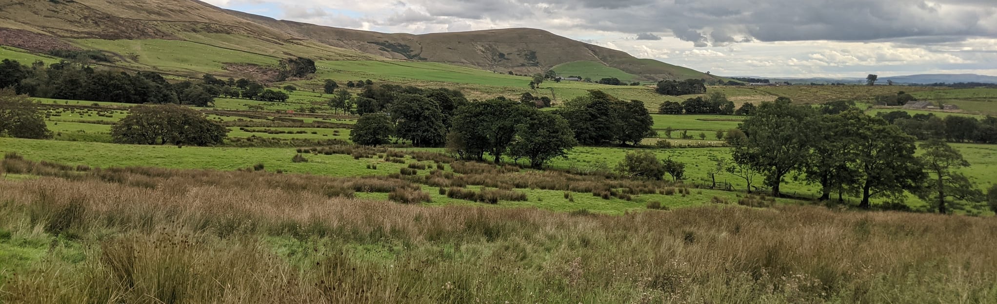 Delph Quarry Circular, Lancashire, England - 8 Reviews, Map | AllTrails