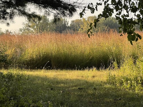 Best Hikes and Trails in Farmdale Recreation Area | AllTrails