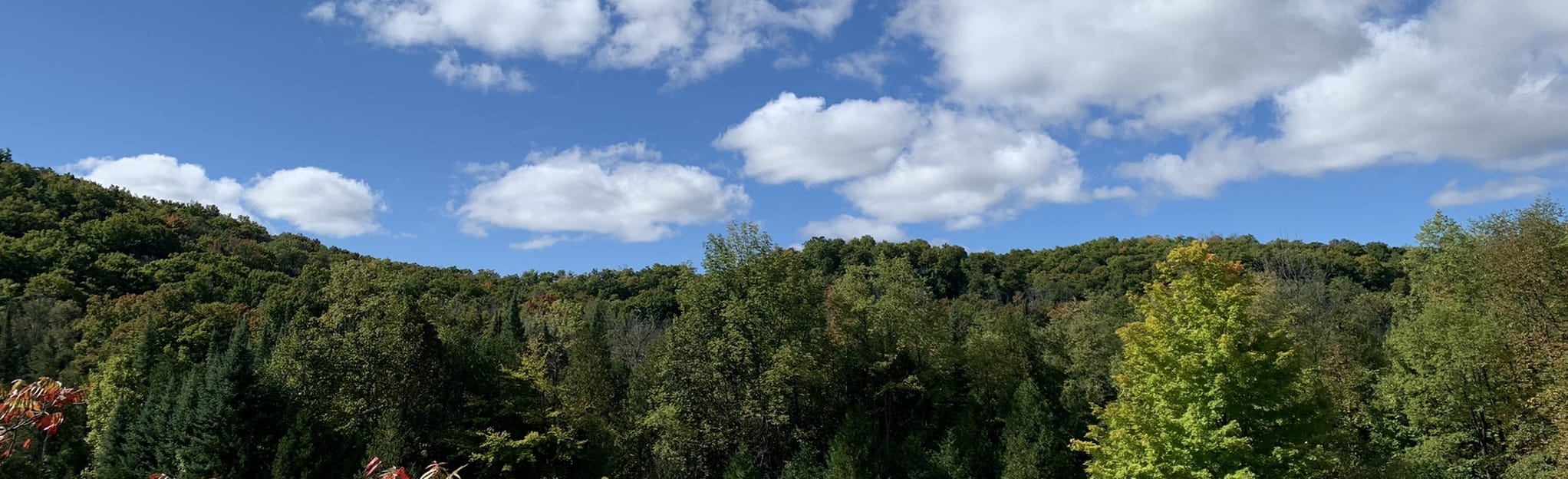 Bruce Trail Loop, Ontario, Canada - 243 Reviews, Map | AllTrails