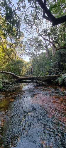 2023 Best Trails near iNgungumbane Falls | AllTrails