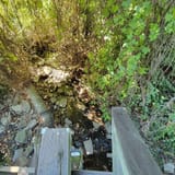 Easton Rail Trail, Maryland - 79 Reviews, Map | AllTrails