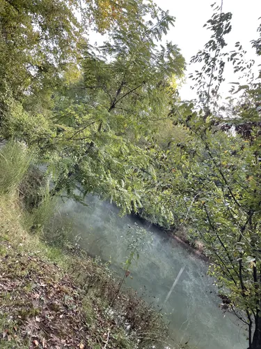 Best Hikes and Trails in Lake Rabon Park | AllTrails