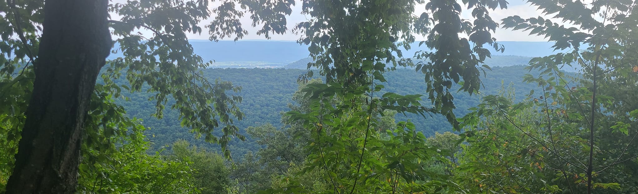 Laurel Run Vista via Mid-State Trail | Map, Guide - Pennsylvania ...