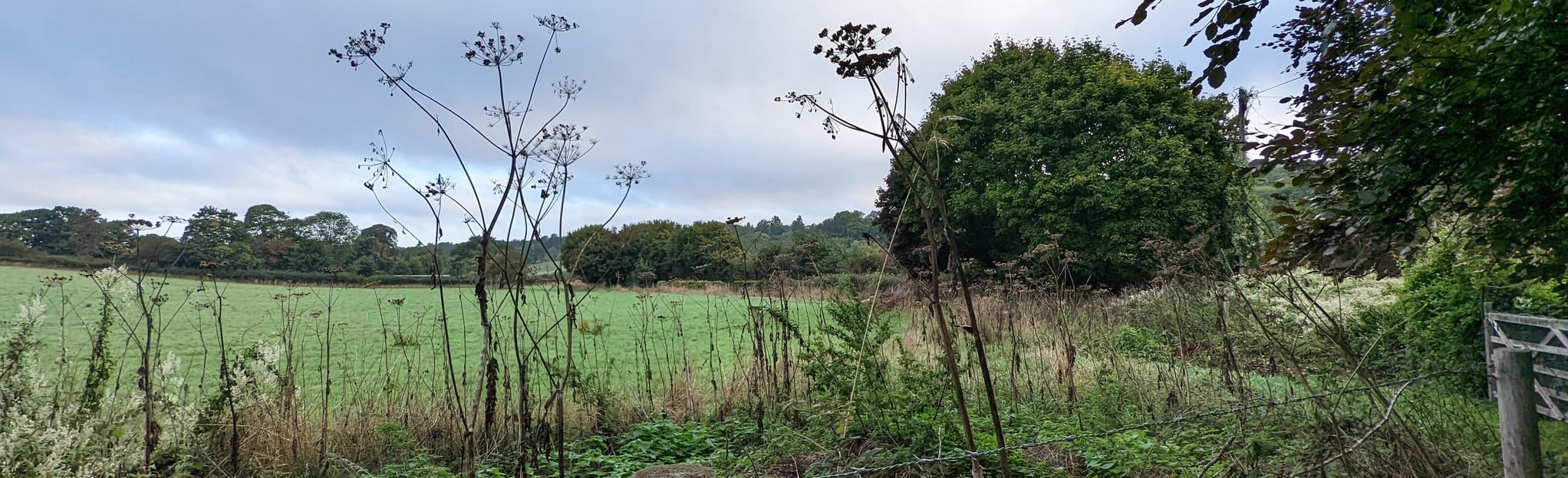 Bromley and Keston Church, London, England - 14 Reviews, Map | AllTrails