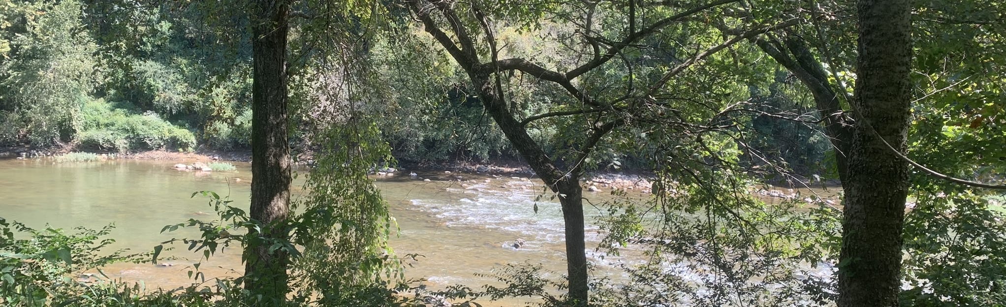 Cahaba River Trail, Alabama - 8 Reviews, Map | AllTrails