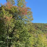 Busby Trail, Spruce Hill Lost Pond and Blackburnian Loop, Massachusetts ...