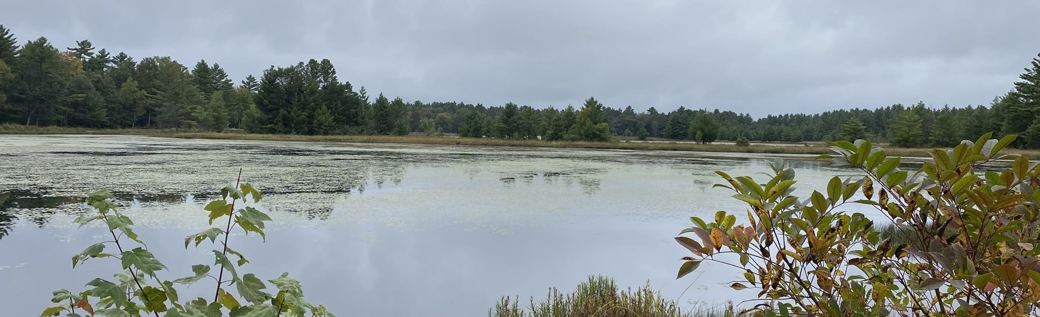 Pigeon Creek Nature Trail: 36 Fotos - Wisconsin | AllTrails