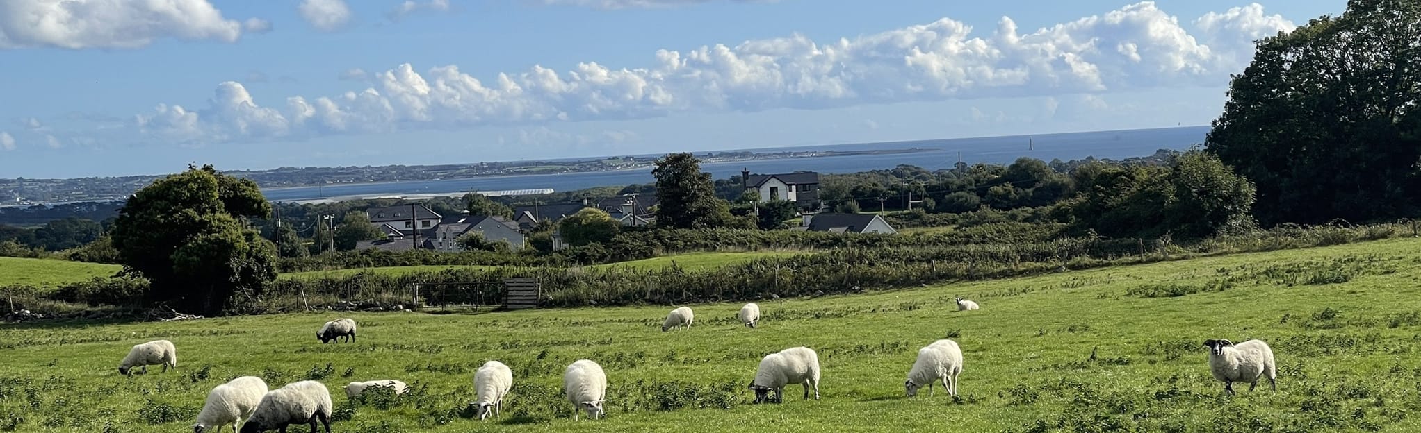 Grange Loops - Molly Loop: 52 Fotos - County Louth, Irland | AllTrails