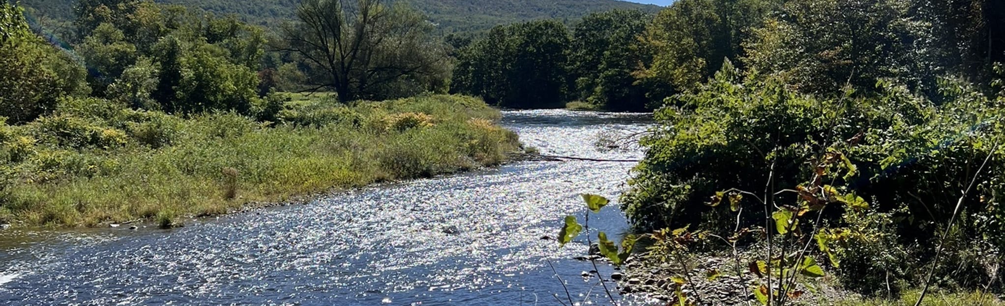 Sugar River Trail: 206 Reviews, Map - New Hampshire | AllTrails