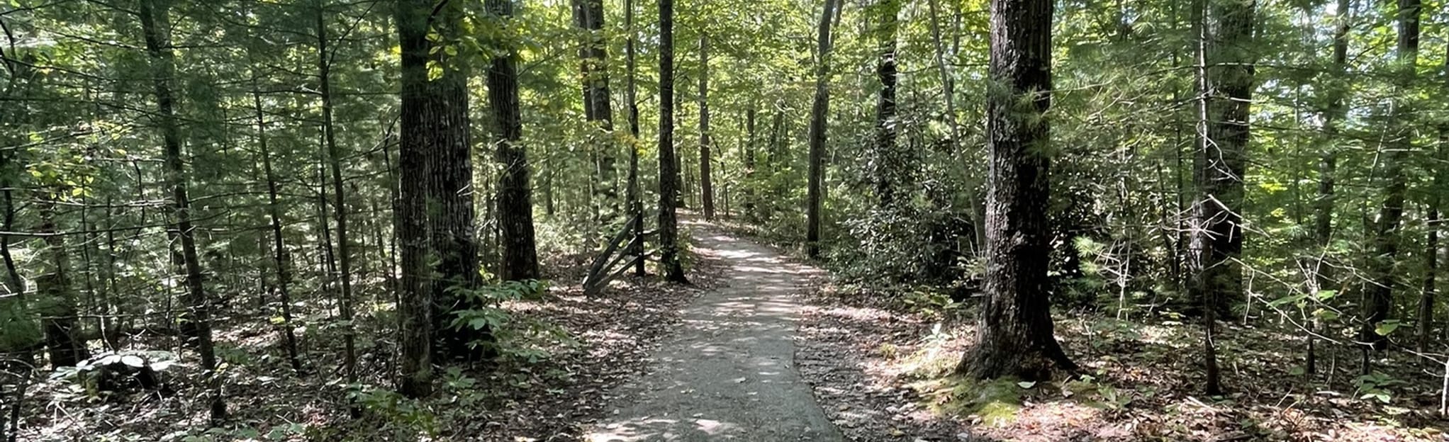 Chimney Top Trail First Overlook, Kentucky - 14 Reviews, Map | AllTrails