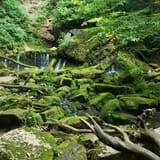 Cave River Valley Trail, Indiana - 194 Reviews, Map | AllTrails