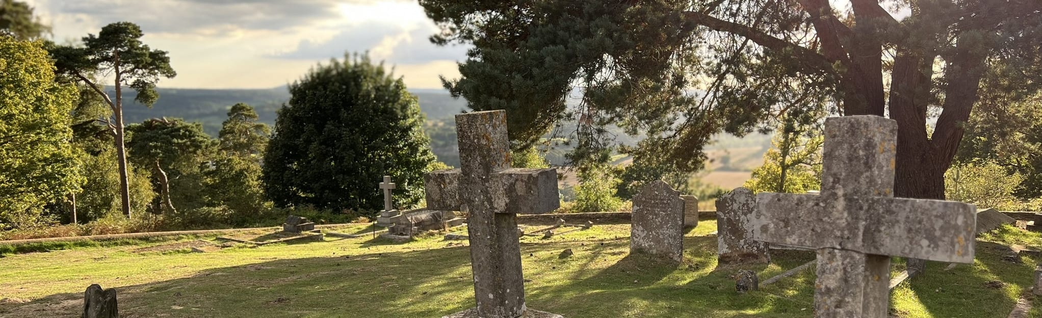 Newlands Corner, Chantries and St Martha’s Hill Circular - Surrey ...