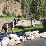 Bear Valley Hot Springs from Fir Creek Campground, Idaho - 48 Reviews ...