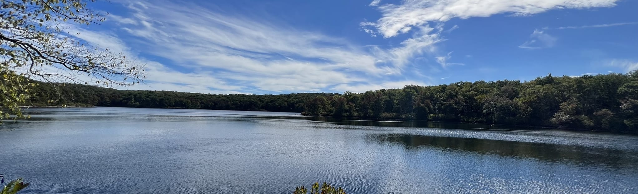 Raccoon Ridge via Douglas and Garvey Springs Trails Loop: 160 Reviews ...