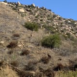 Shelf Road Trail, California - 839 Reviews, Map | AllTrails