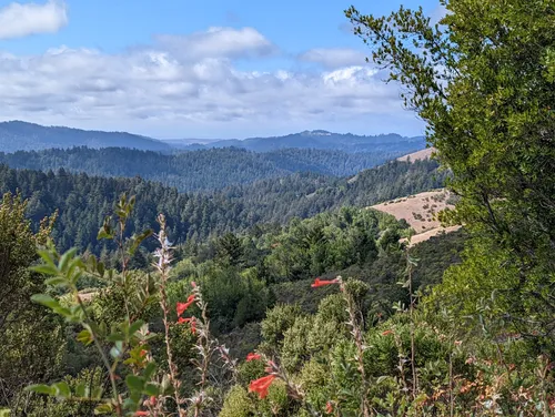 Best 10 Hiking Trails in Russian Ridge Open Space Preserve | AllTrails