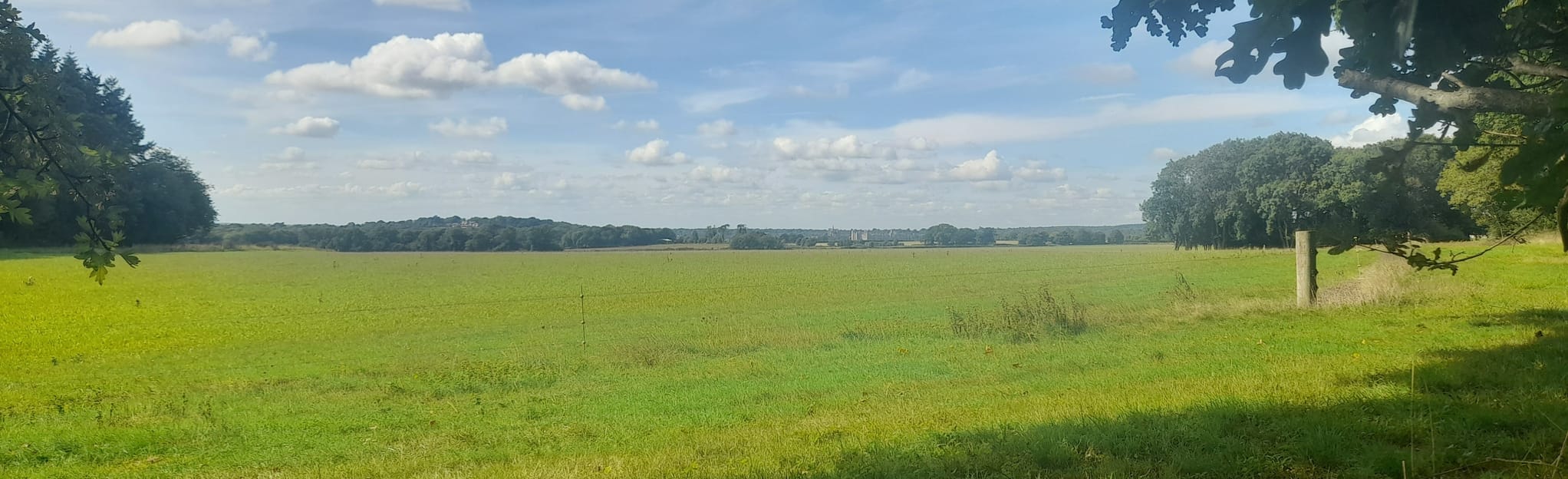 Wepham Woods and Butler's Copse Circular: 95 foto's - West Sussex ...