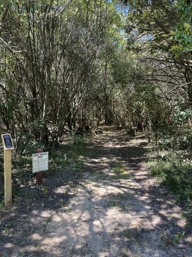 Best Hikes and Trails in Redcliffe Plantation State Historic Site ...