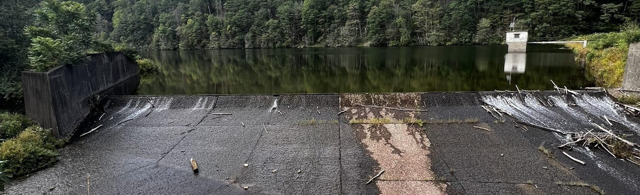 McElhattan Reservoir Trail: 28 Reviews, Map - Pennsylvania | AllTrails