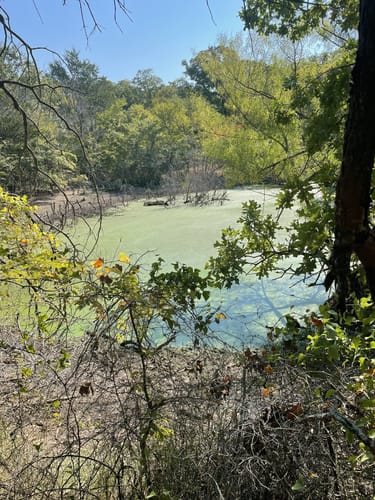 Best 10 Hikes and Trails in Ray Roberts Lake State Park | AllTrails