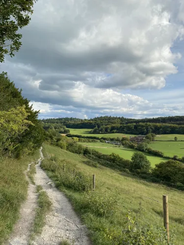 10 Best Trails and Hikes in Guildford | AllTrails