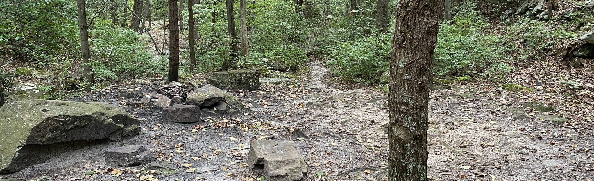 Morgan Run Trail | Map, Guide - Virginia | AllTrails