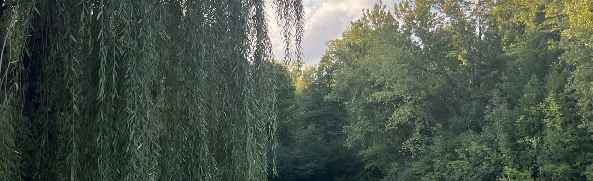 Pearson Park Loop: 155 Reviews, Map - Ohio | AllTrails