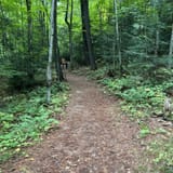 Raven Red Trail Loop, Wisconsin - 199 Reviews, Map | AllTrails