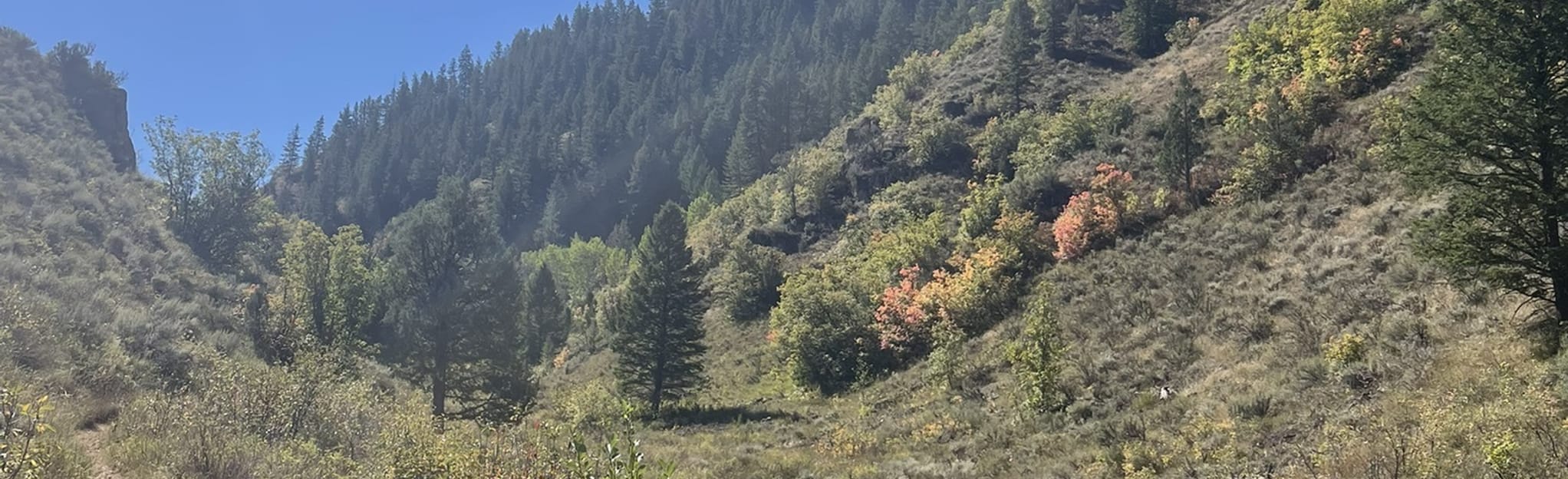 Richards, Ricks and Herd Hollow, Right Fork, and Left Hand Fork Loop ...