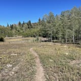 Lizard Lake Trail, Utah - 52 Reviews, Map | AllTrails
