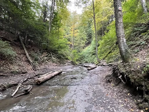 Best 10 Hiking Trails in Chestnut Ridge Park | AllTrails