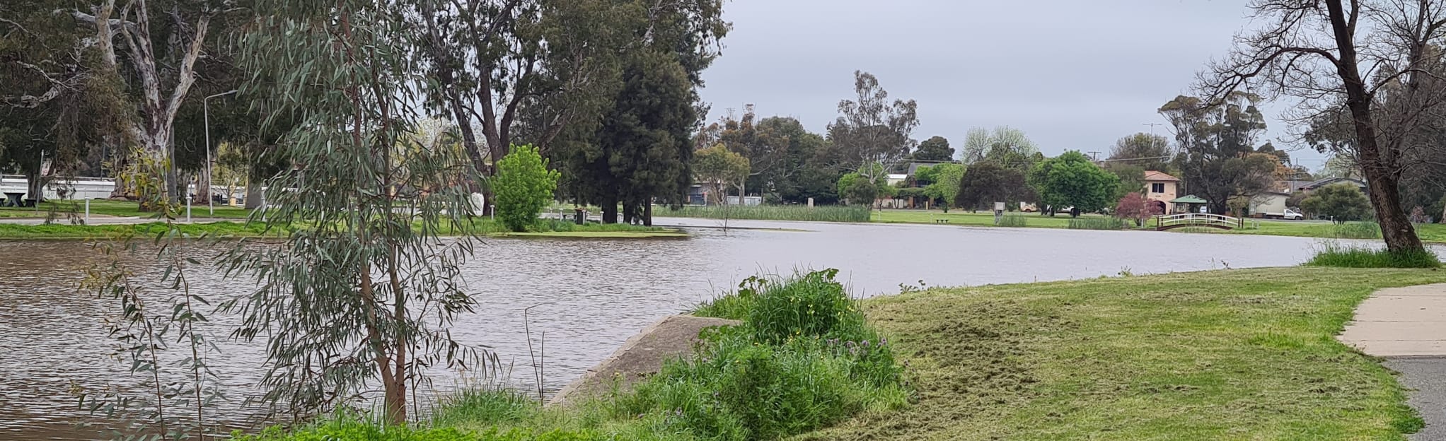 Lake Forbes Loop, New South Wales, Australia - 12 Reviews, Map | AllTrails