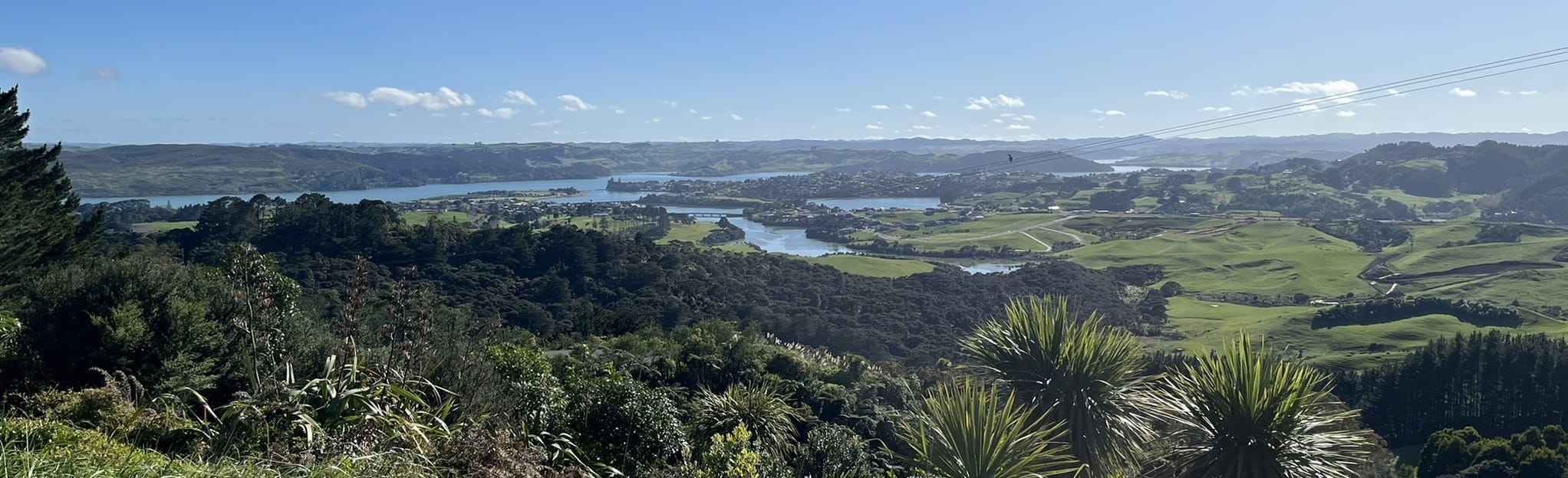 Karioi Mountain Loop - Waikato, New Zealand | AllTrails