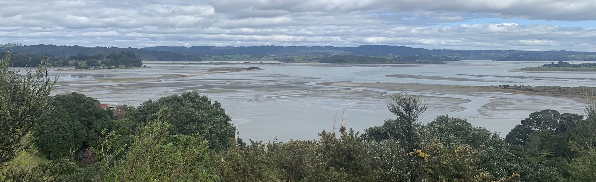 Onekawa Te Mawhai Regional Park Loop Walk, Bay of Plenty, New Zealand ...
