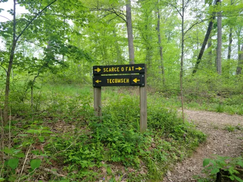 10 Best Hikes and Trails in Yellowwood State Forest | AllTrails
