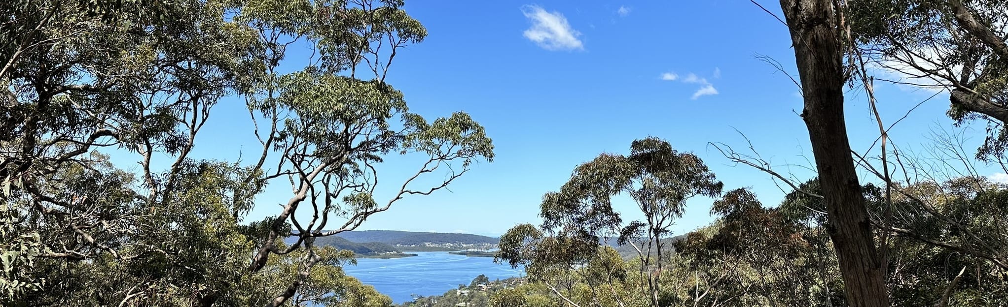 Koolewong Circuit: 14 Reviews, Map - New South Wales, Australia | AllTrails