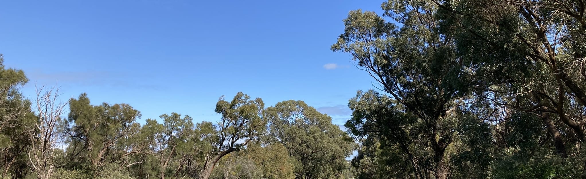 Crawley Path, Goanna Track, Boomerang Path, Dryandra Track, Wollybush ...
