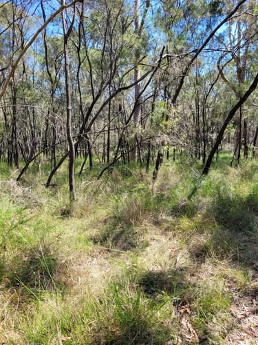 Best Hikes and Trails in Freshwater National Park | AllTrails
