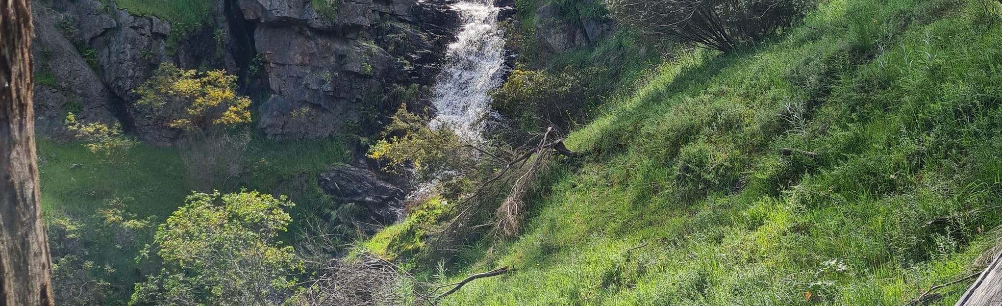 Salisbury Falls Track, Victoria, Australia - 26 Reviews, Map | AllTrails