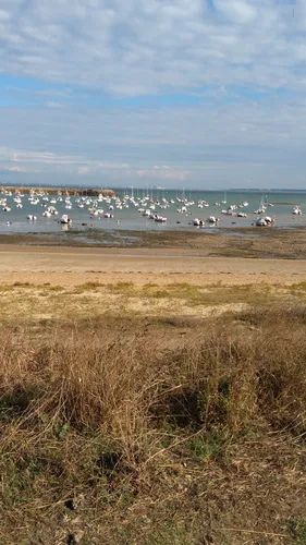Best Walking Trails in La Plaine-sur-Mer | AllTrails