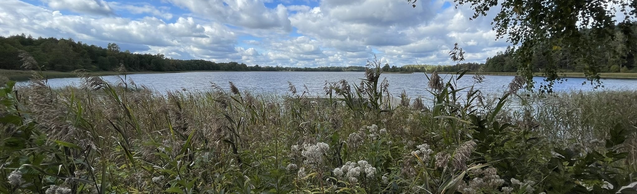 Asveja Lake South Loop [PRIVÉ-EIGENDOM]: 77 foto's - Vilnius, Litouwen ...