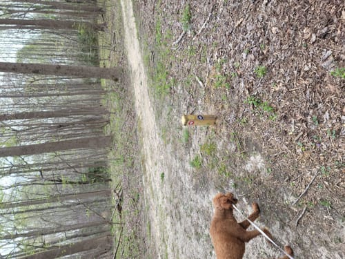 Best Hikes and Trails in Ward Farm Recreation and Nature Park | AllTrails