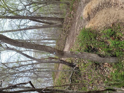 Best Hikes and Trails in Ward Farm Recreation and Nature Park | AllTrails