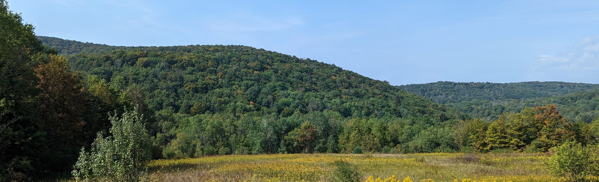 Salt Springs State Park Outer Loop | Map, Guide - Pennsylvania | AllTrails